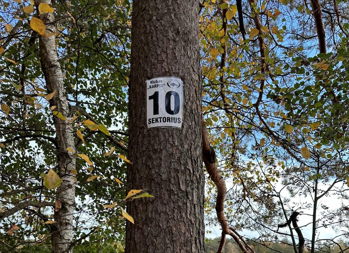 📍Ilgio Ežeras. 10 sektorius. Apžvalga