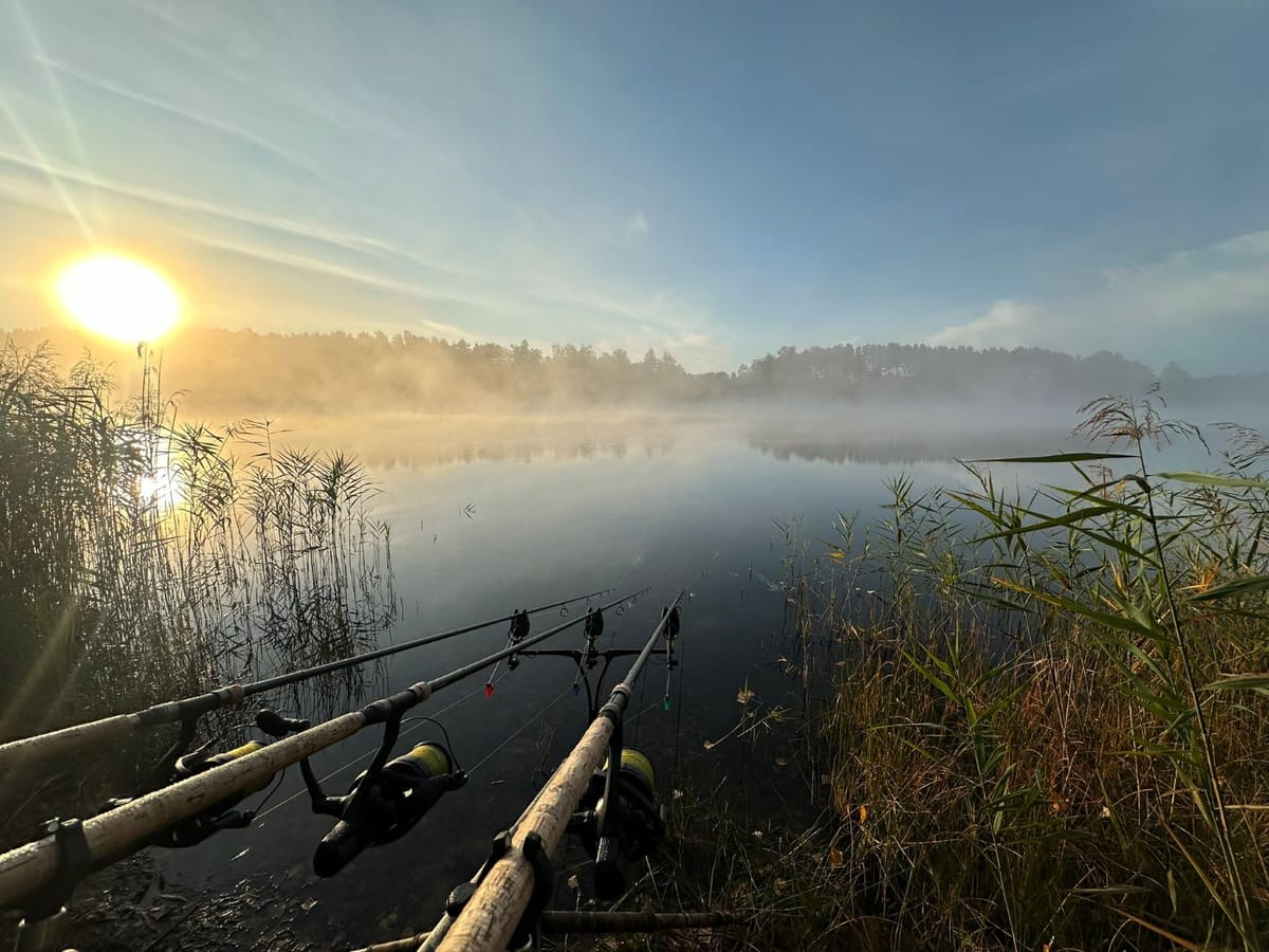 📍Ilgio Ežeras. 11 sektorius. Apžvalga
